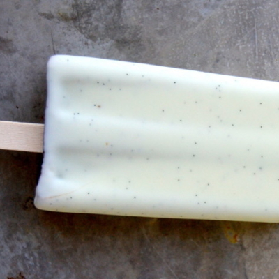 Dutch Cocoa Popsicles with Vanilla Bean Magic Shell • The View from ...