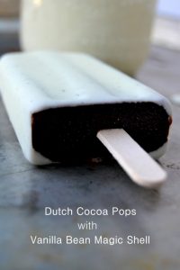 Dutch Cocoa Popsicles with Vanilla Bean Magic Shell • The View from ...