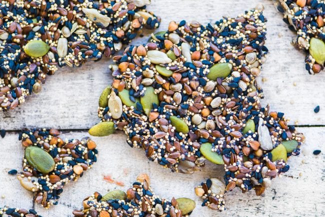 Multi Seed Crisps ~ Homemade Vegan Crackers • The View from Great Island