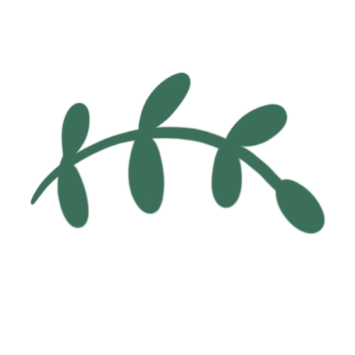 Indian Pudding • America's oldest dessert!