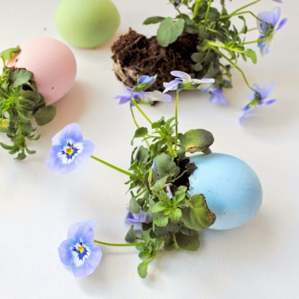 How to make Eggshell Planters • The View from Great Island