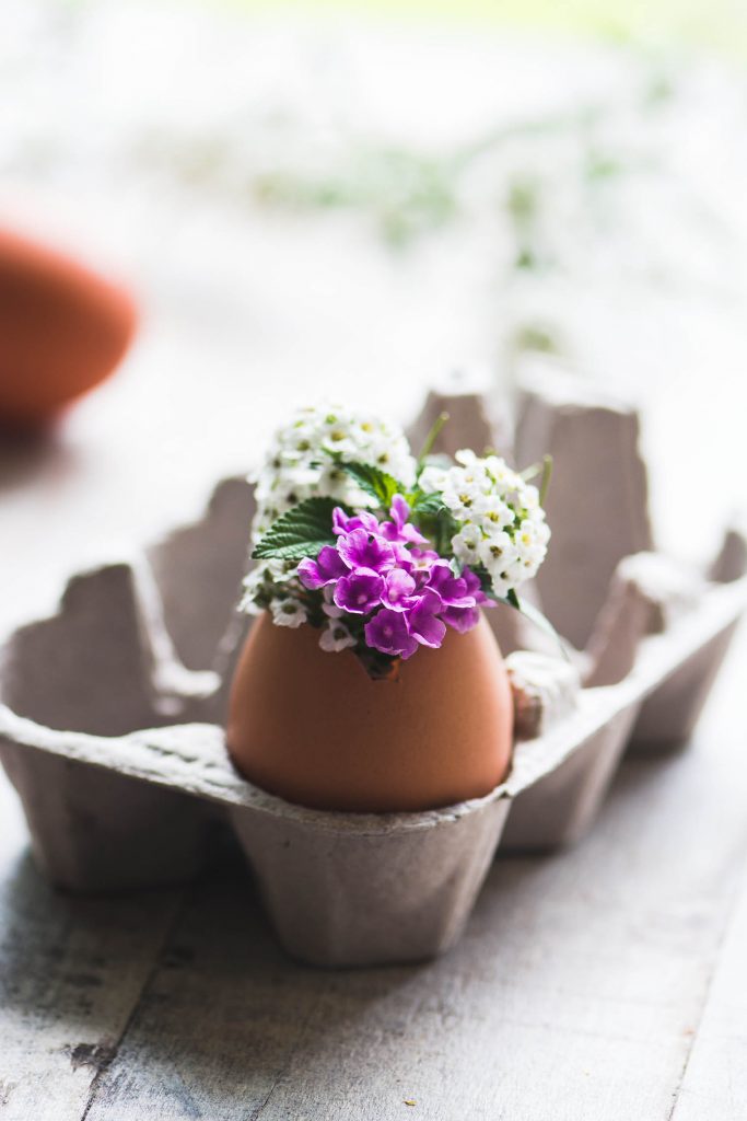 How to make Eggshell Planters • The View from Great Island