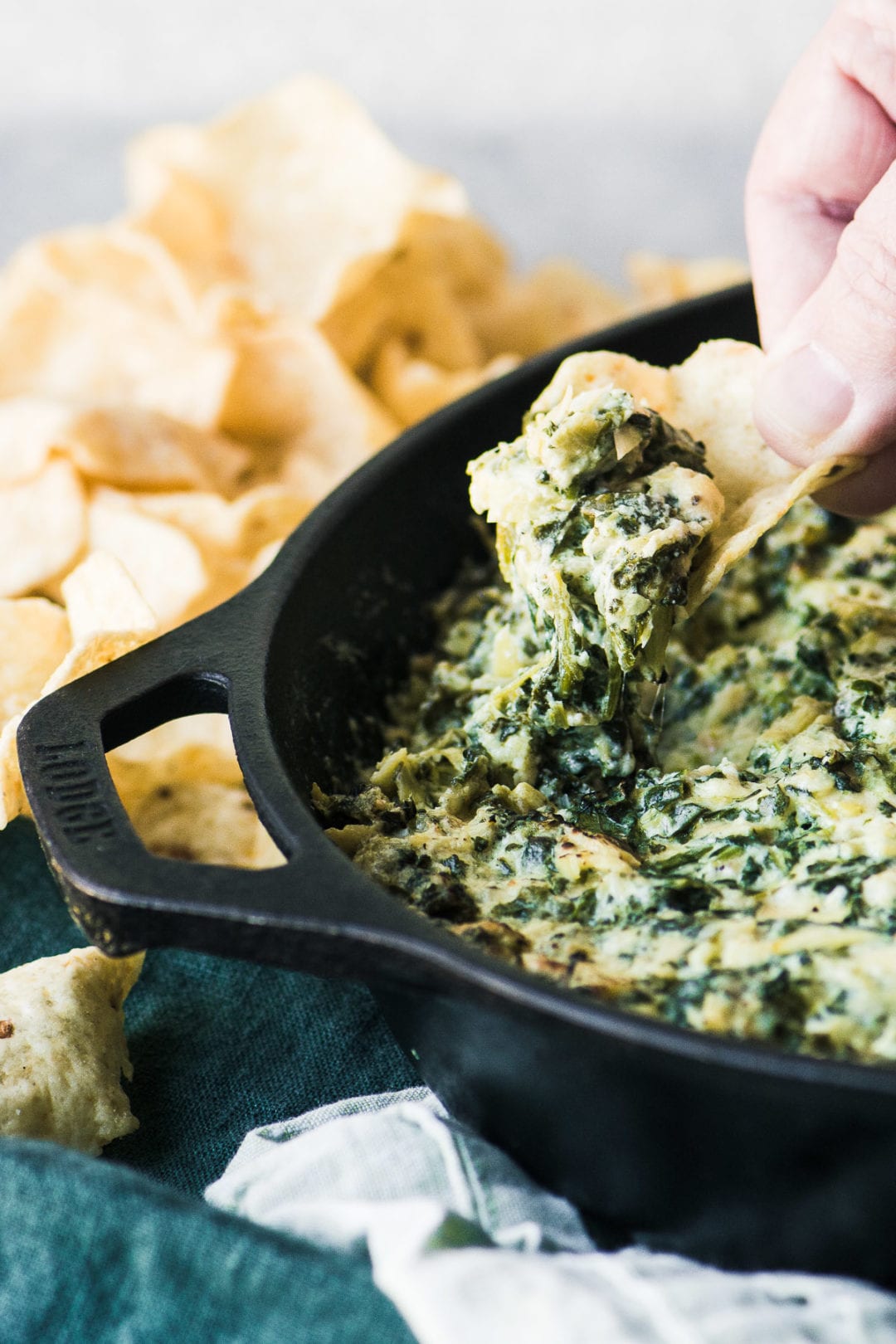 12 Excuses to Have Dip for Dinner • best dip recipes!