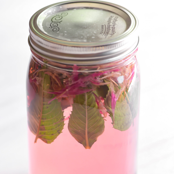 How to Make Bee Balm Tea • The View from Great Island