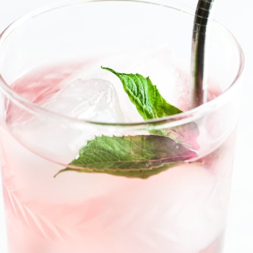 How to Make Bee Balm Tea • The View from Great Island