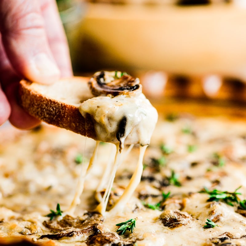 Cheesy Baked Mushroom Dip • The View from Great Island
