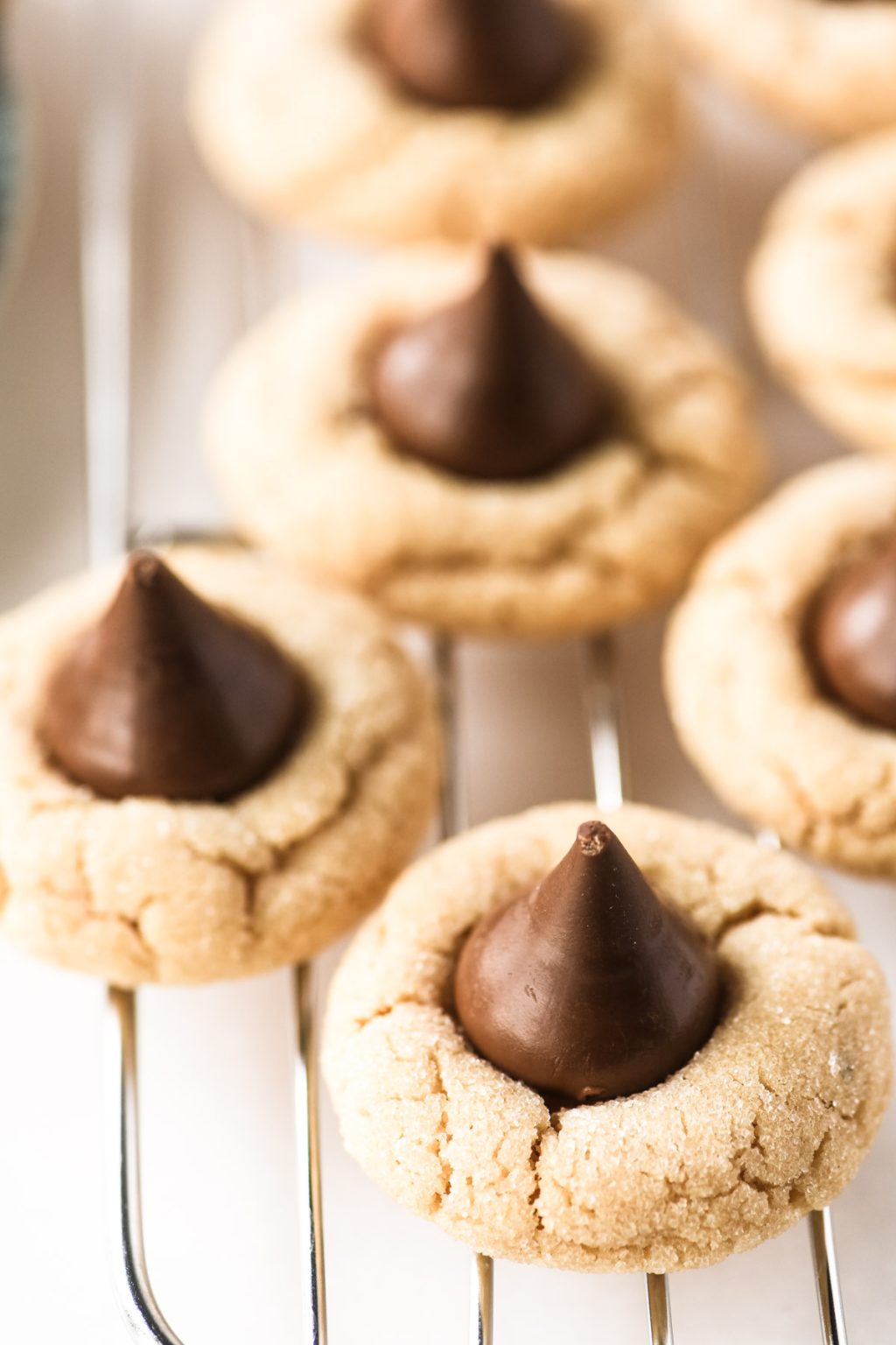 30 Best Holiday Cookies to Freeze Right Now!