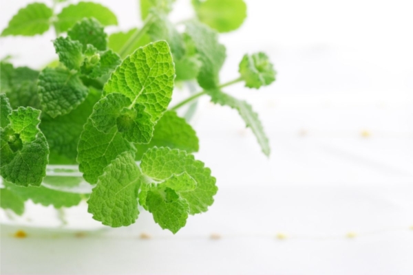 Mint Yogurt Sauce • 5 ingredients!