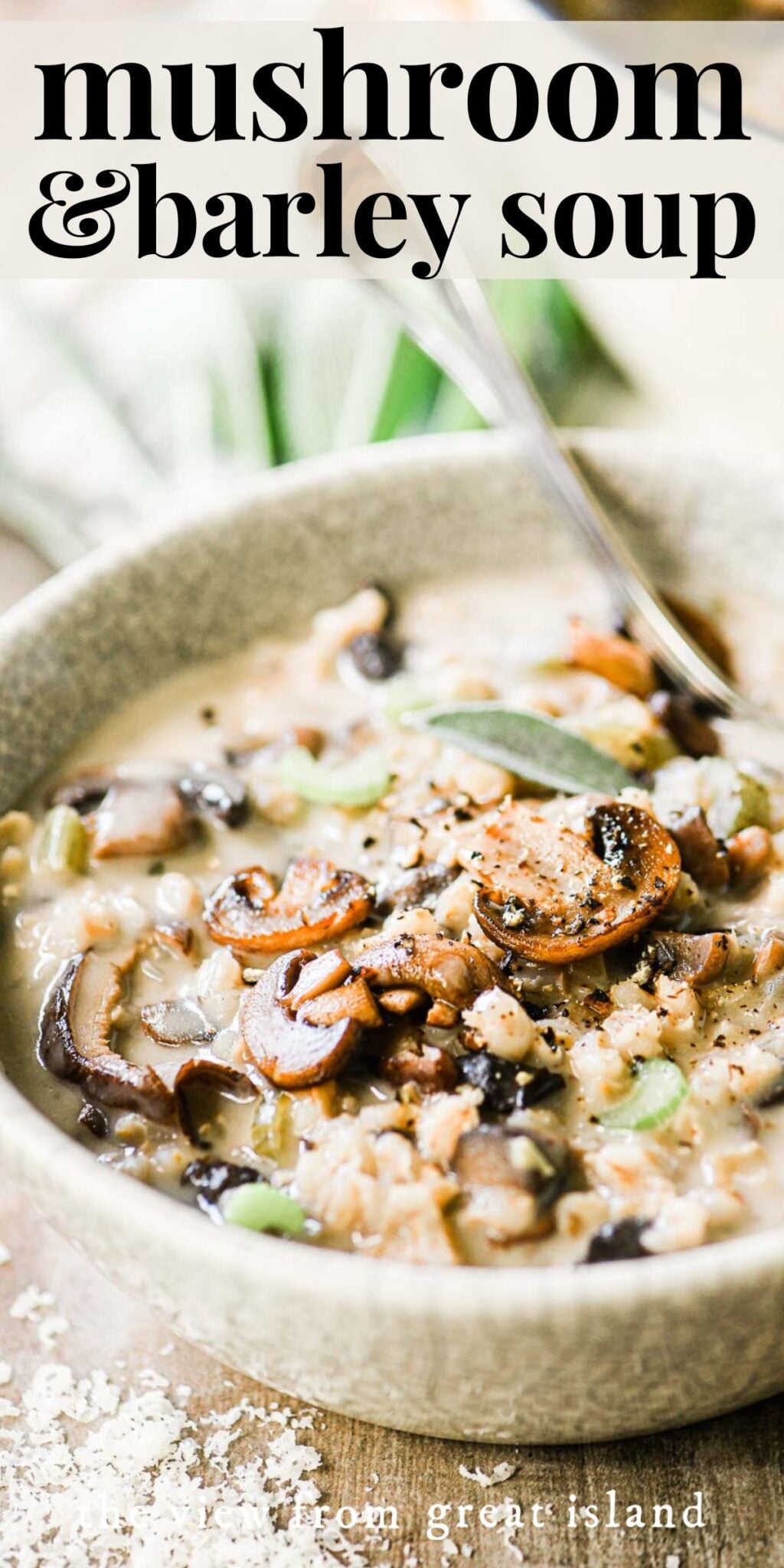 Mushroom Barley Soup • Jewish deli style!