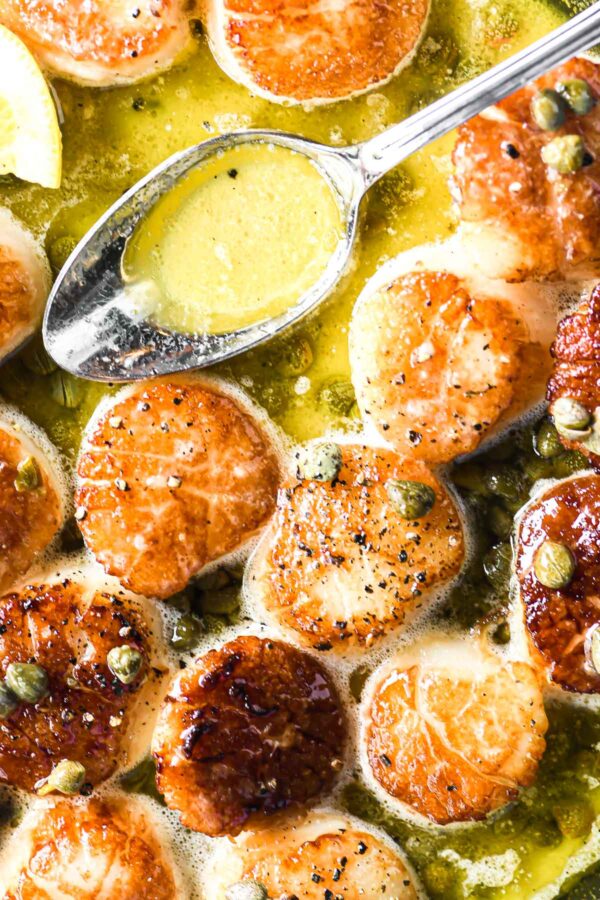Seared Scallops in Lemon Butter • 20 minutes!