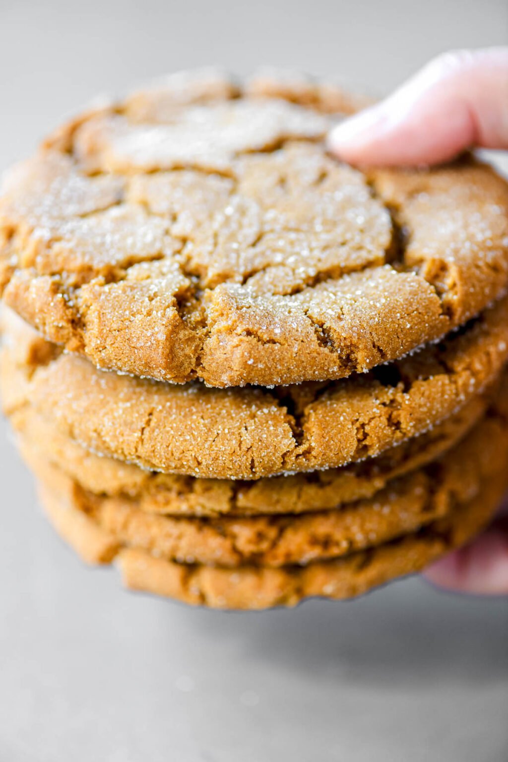 Soft Molasses Cookies • Bakery Style!