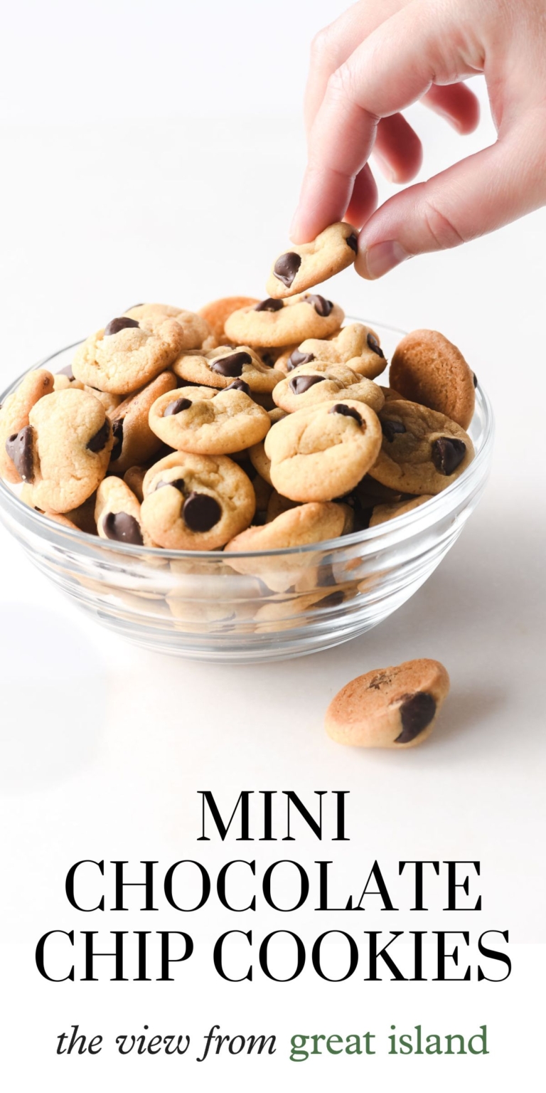 Mini Chocolate Chip Cookies • Micro Chip Cookie Copy Cats!