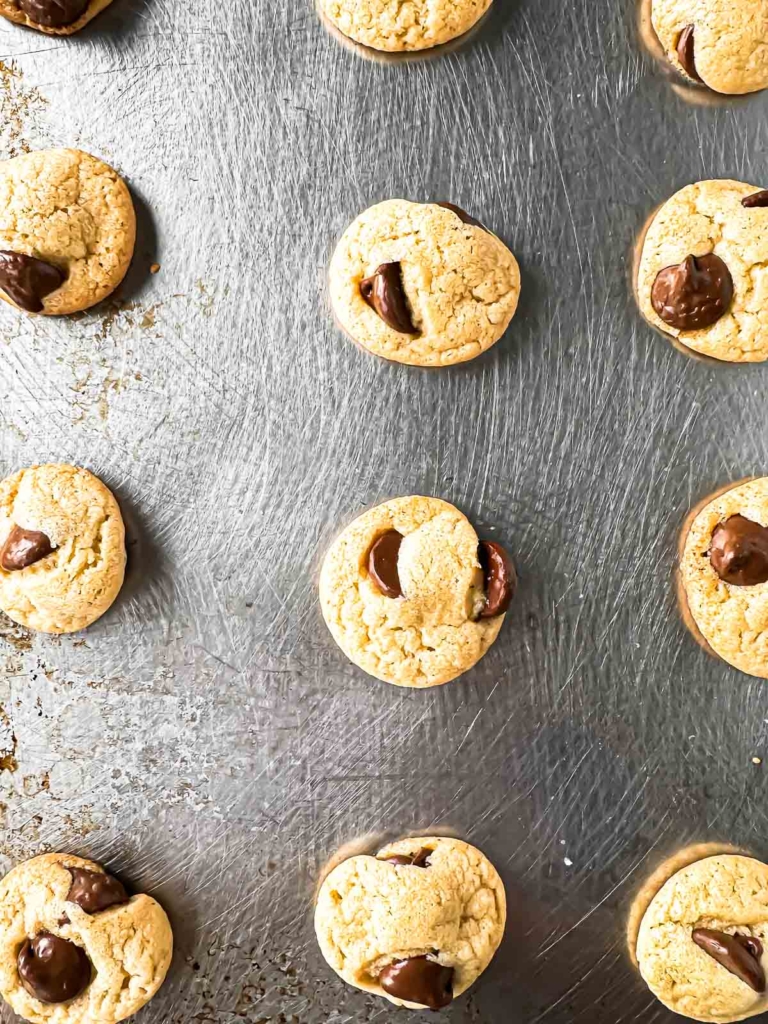 Mini Chocolate Chip Cookies • Micro Chip Cookie Copy Cats!