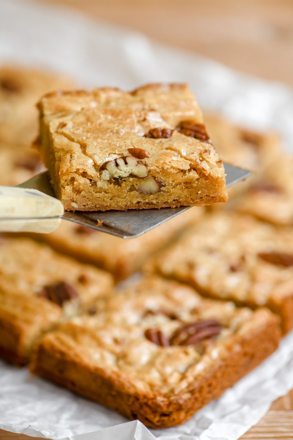 Charleston Chewies • The View from Great Island