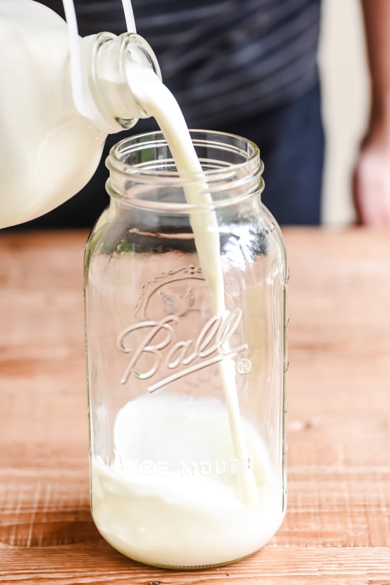 Homemade Kefir Recipe • 2 Ingredients!